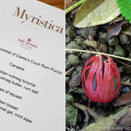 Cooksister - Food Travel and Photography